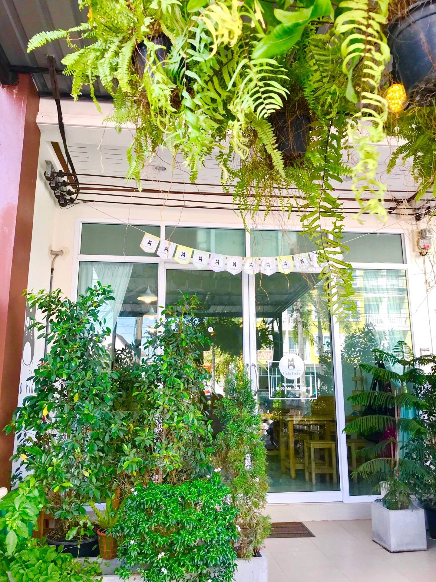 รีวิว Finlo Finlo - ไก่ทอดเกาหลี