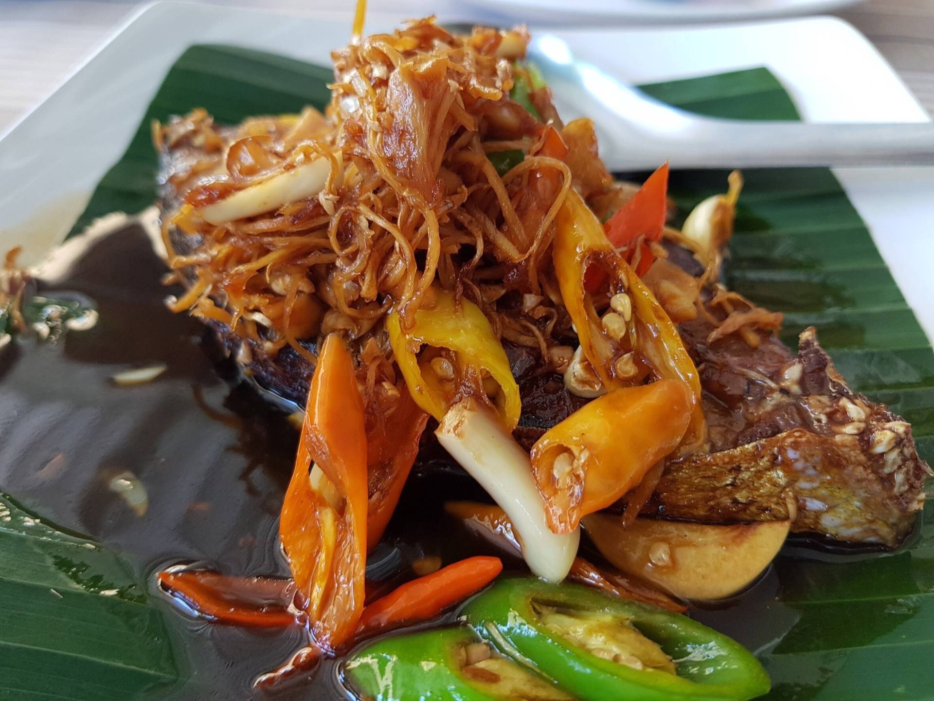 รูป ต้นมะยม