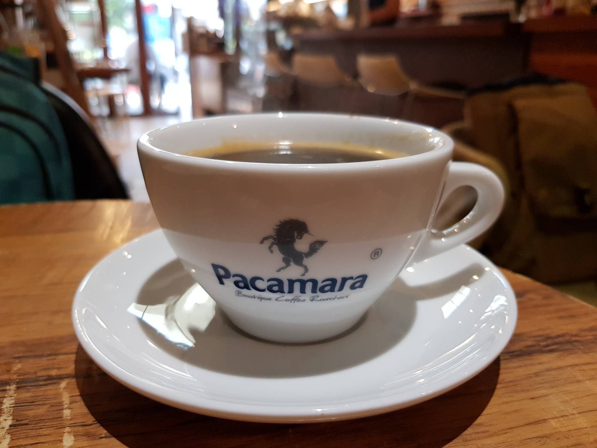 รีวิว PACAMARA COFFEE กลางเวียง เชียงใหม่ - มาอีกครั้งก็โดนใจเช่นเดิม ...
