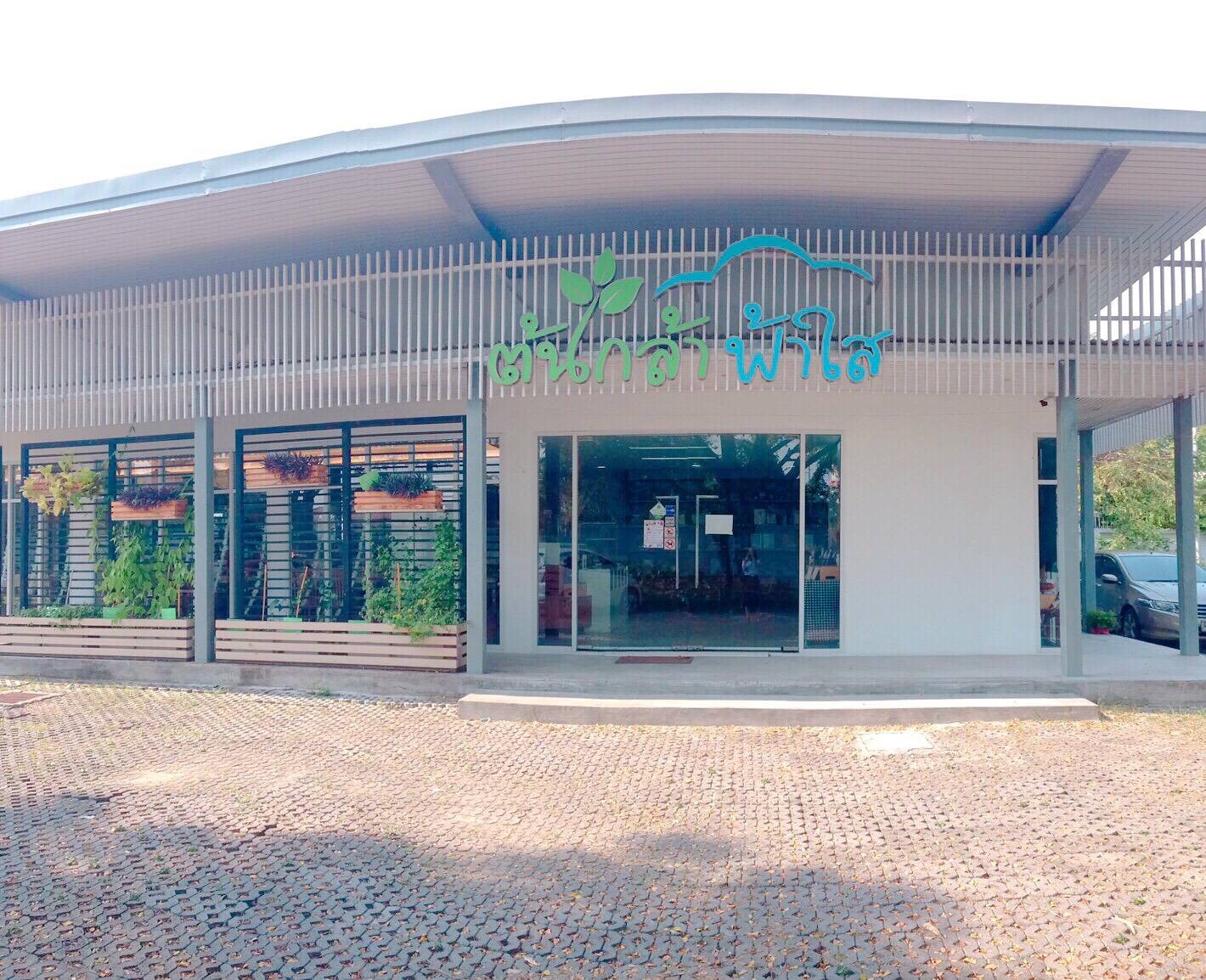 รีวิว ต้นกล้า ฟ้าใส (Tonklar Facai) หนองแขม - ใครว่ากินเจแล้วมีแต่แป้งๆ ...