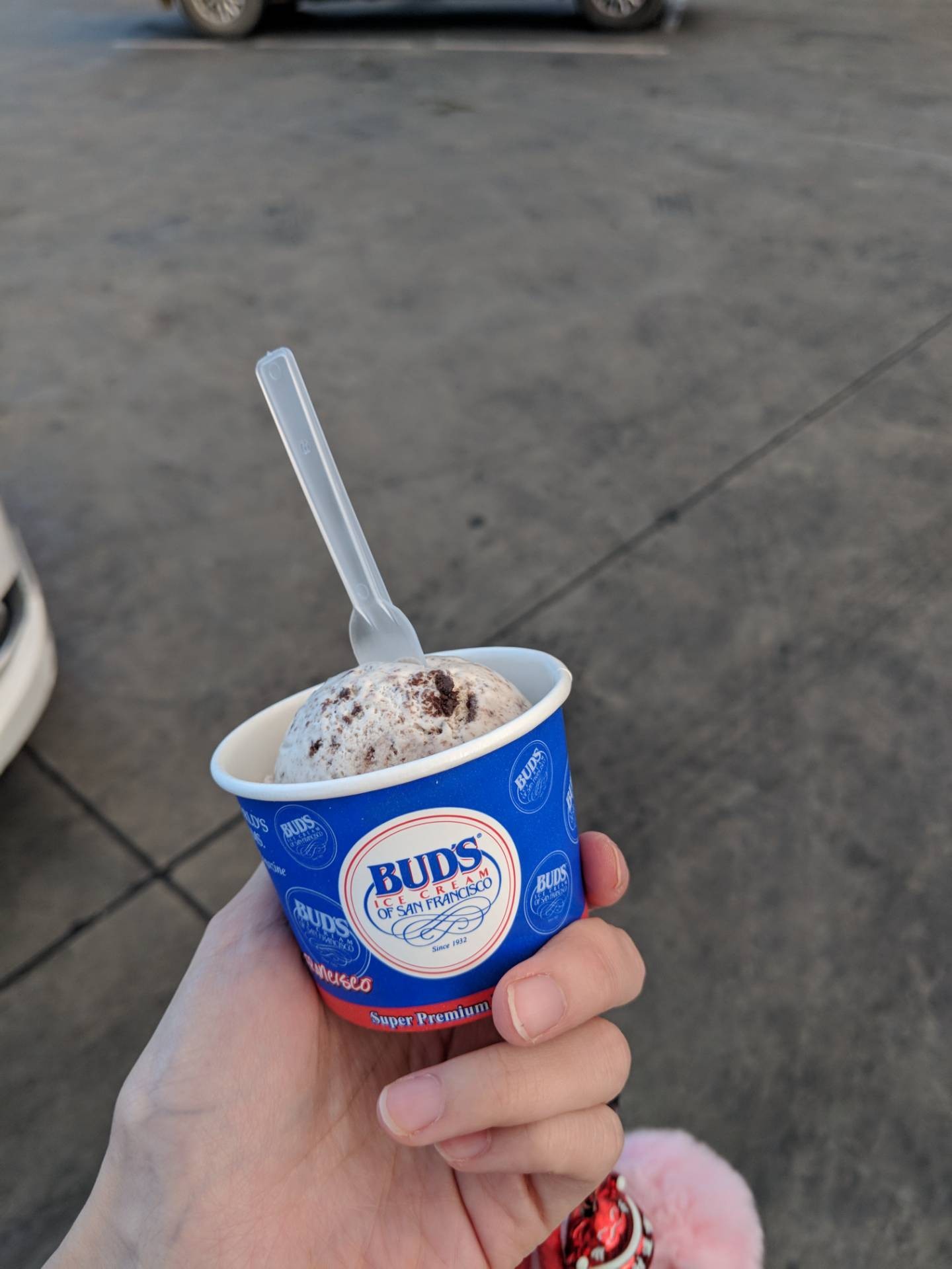 รีวิว Bud's Icecream ปั๊ม ปตท คลองวง ลพบุรีราเมศวร์ สงขลา - ไอติม ปั้ม ...