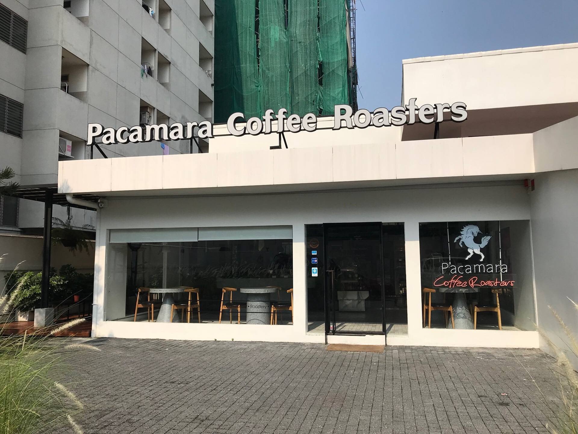 รีวิว PACAMARA Thonglor 25 - ร้านกาแฟบรรยากาศดี แต่ทางมาค่อนข้างลึกลับ - Wongnai