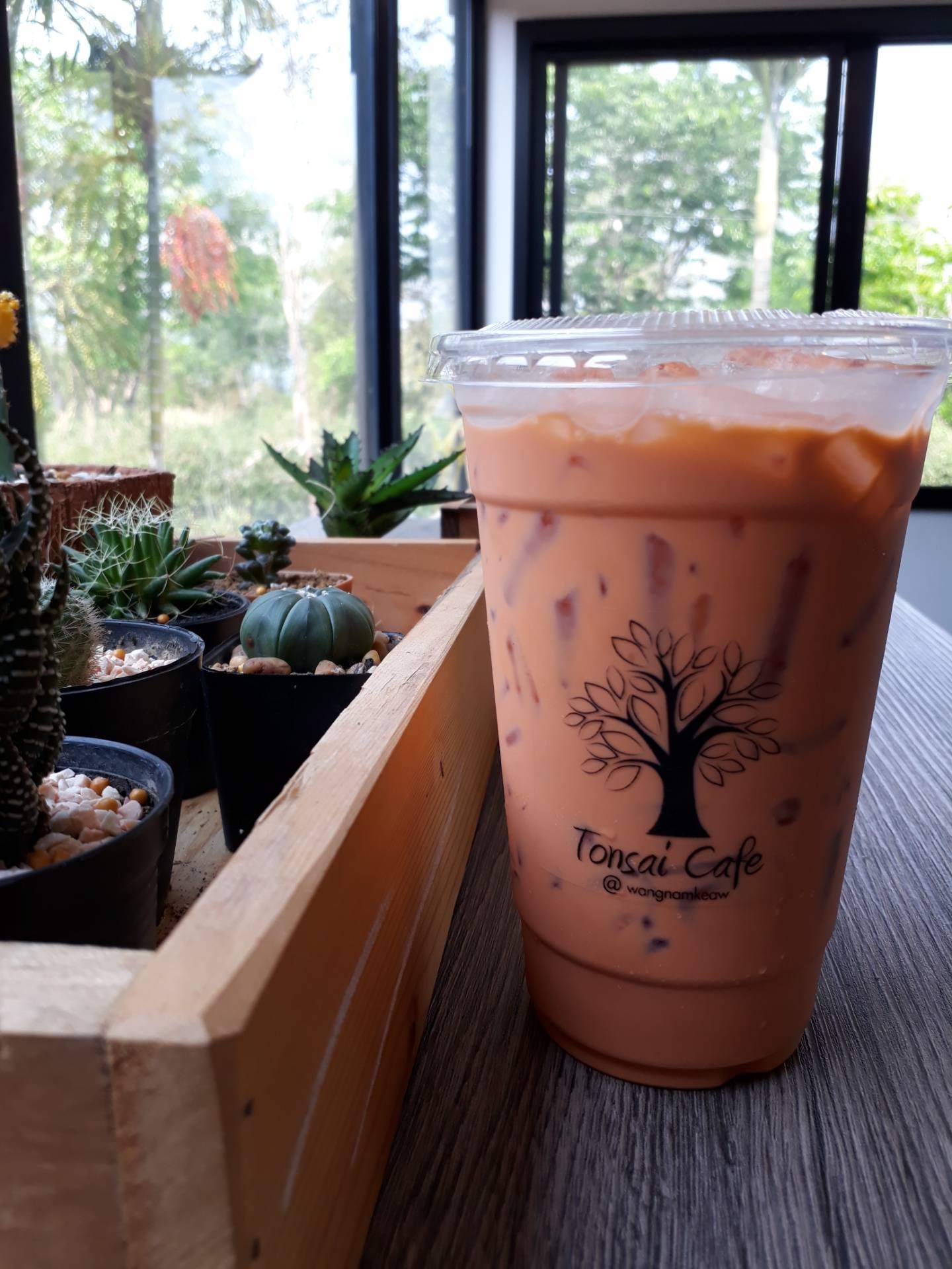 ร้าน Tonsai Cafe | รีวิวร้านอาหาร - Wongnai