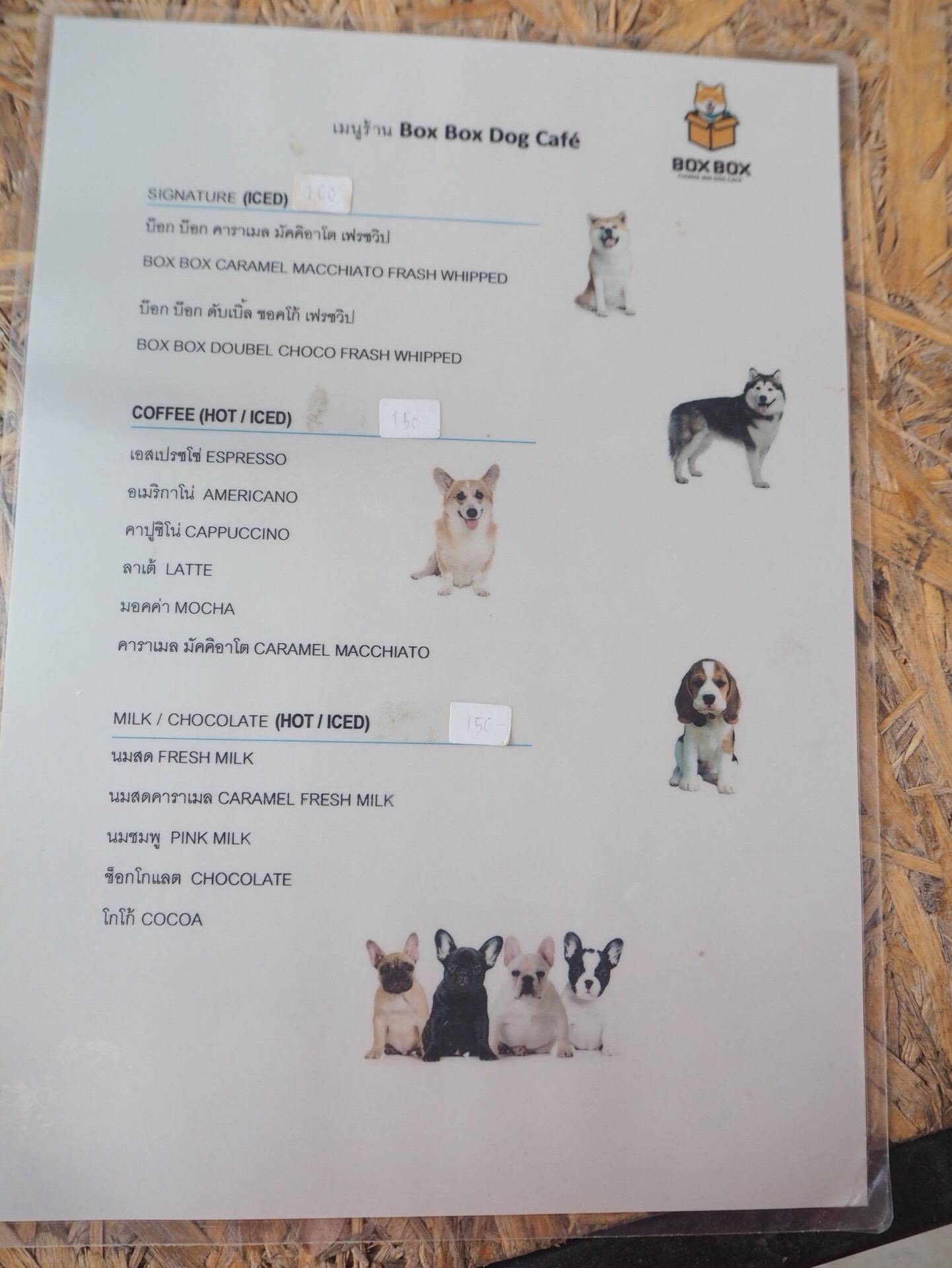 รีวิว Box Box Dog Cafe สาขา1 แม่โจ้ - คาเฟ่สำหรับใครที่รักน้องหมาพอได้ ...
