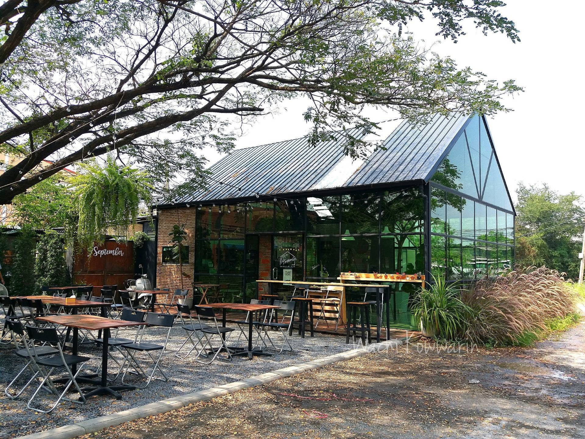 รีวิว 9th September Eat Drink Tree - อิ่มครบ จบในร้านเดียว