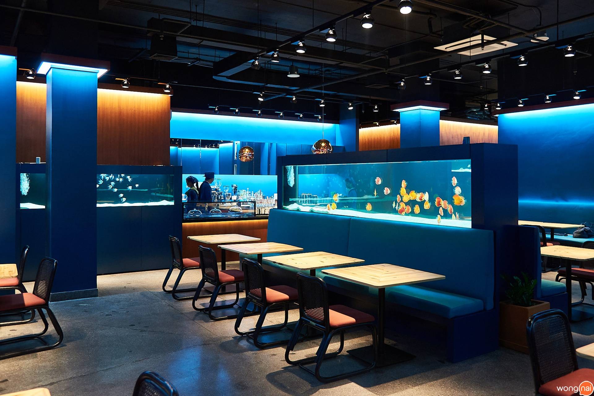 "TANK Restaurant and Cafe" ร้านอาหารญี่ปุ่นในโลกใต้น้ำสุดเก๋ไม่ซ้ำใคร