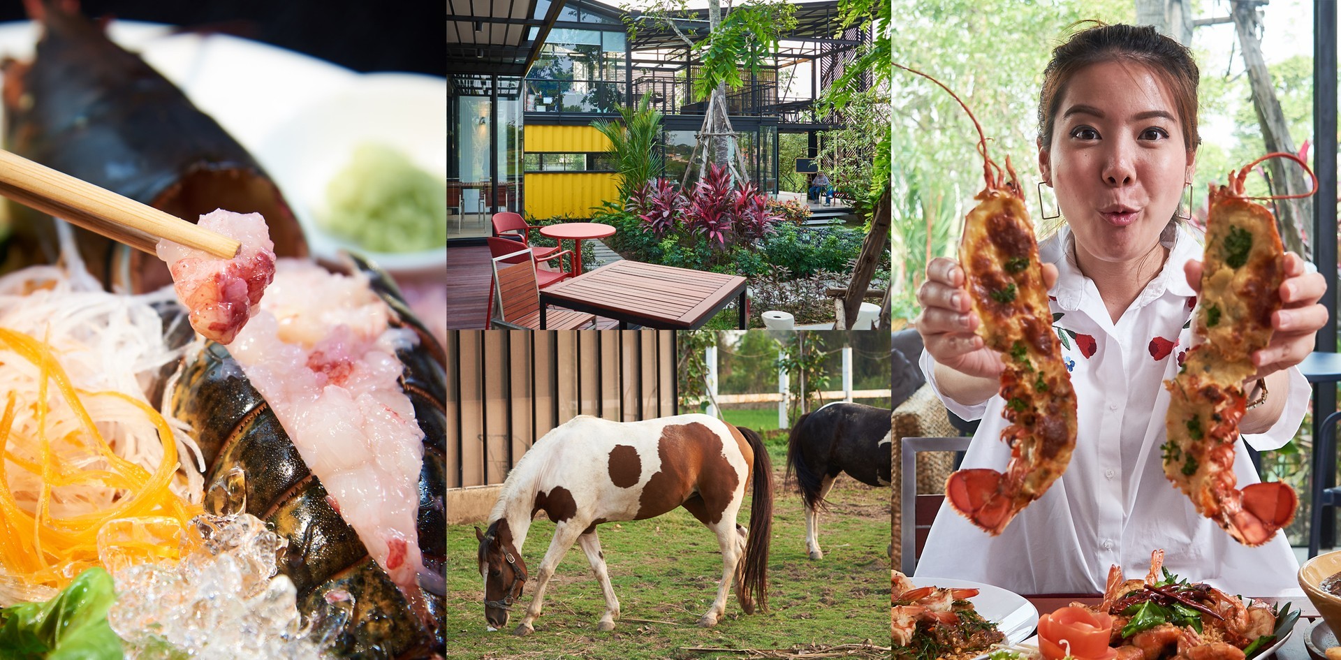 “Goody Chic” ร้านอาหารรสชาติดี หรูทันสมัยกลางบรรยากาศธรรมชาติ ราคาเบาๆ