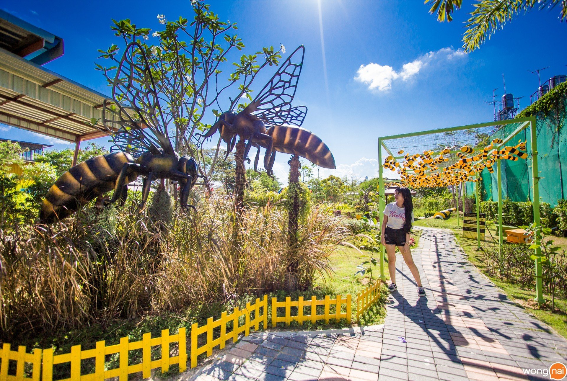 เที่ยวสวนผึ้งหาดใหญ่ Big Bee Garden ชมธรรมชาติกลางใจเมือง เข้าชมฟรี!