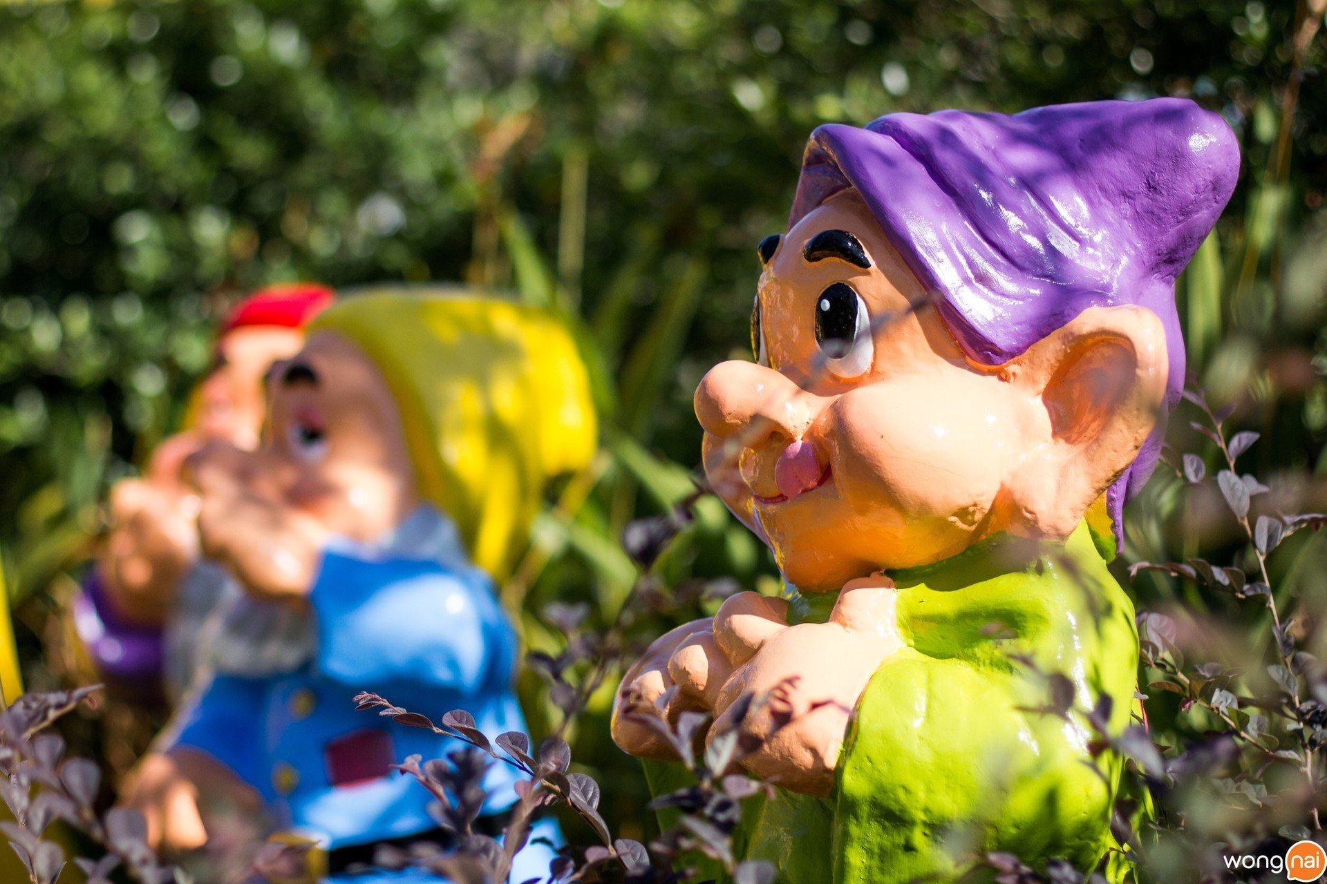 เที่ยวสวนผึ้งหาดใหญ่ Big Bee Garden ชมธรรมชาติกลางใจเมือง เข้าชมฟรี!