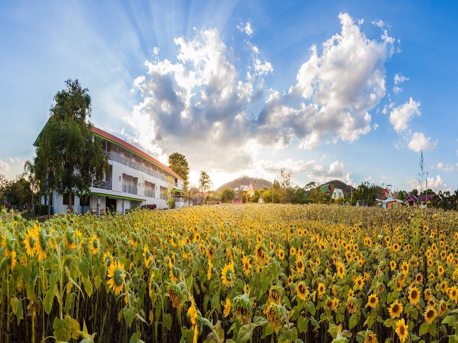โอโซนรีสอร์ท (Ozone Resort) - รีวิวที่พัก - Wongnai