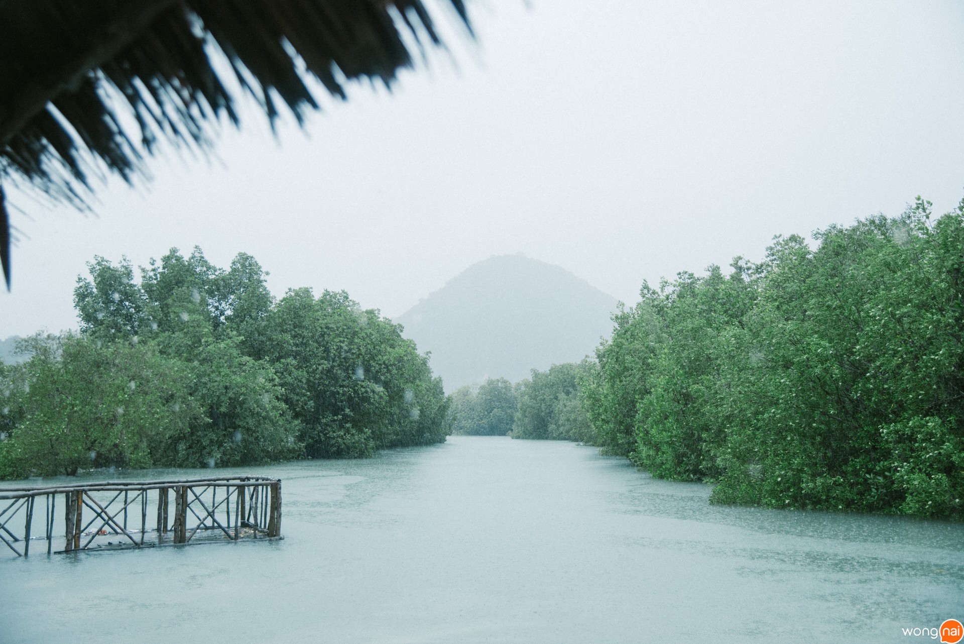 เที่ยวปราณบุรี 2 วัน 1 คืน ซีฟู้ด-ภูเขา-หาดทราย ครบจบที่เดียว!