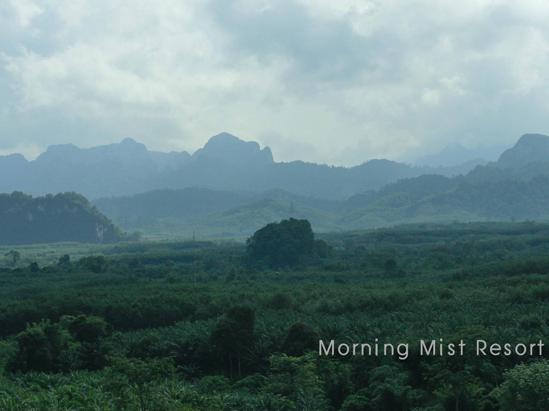 มอร์นิ่งมีสรีสอร์ท (Morning Mist Resort) - รีวิวที่พัก
