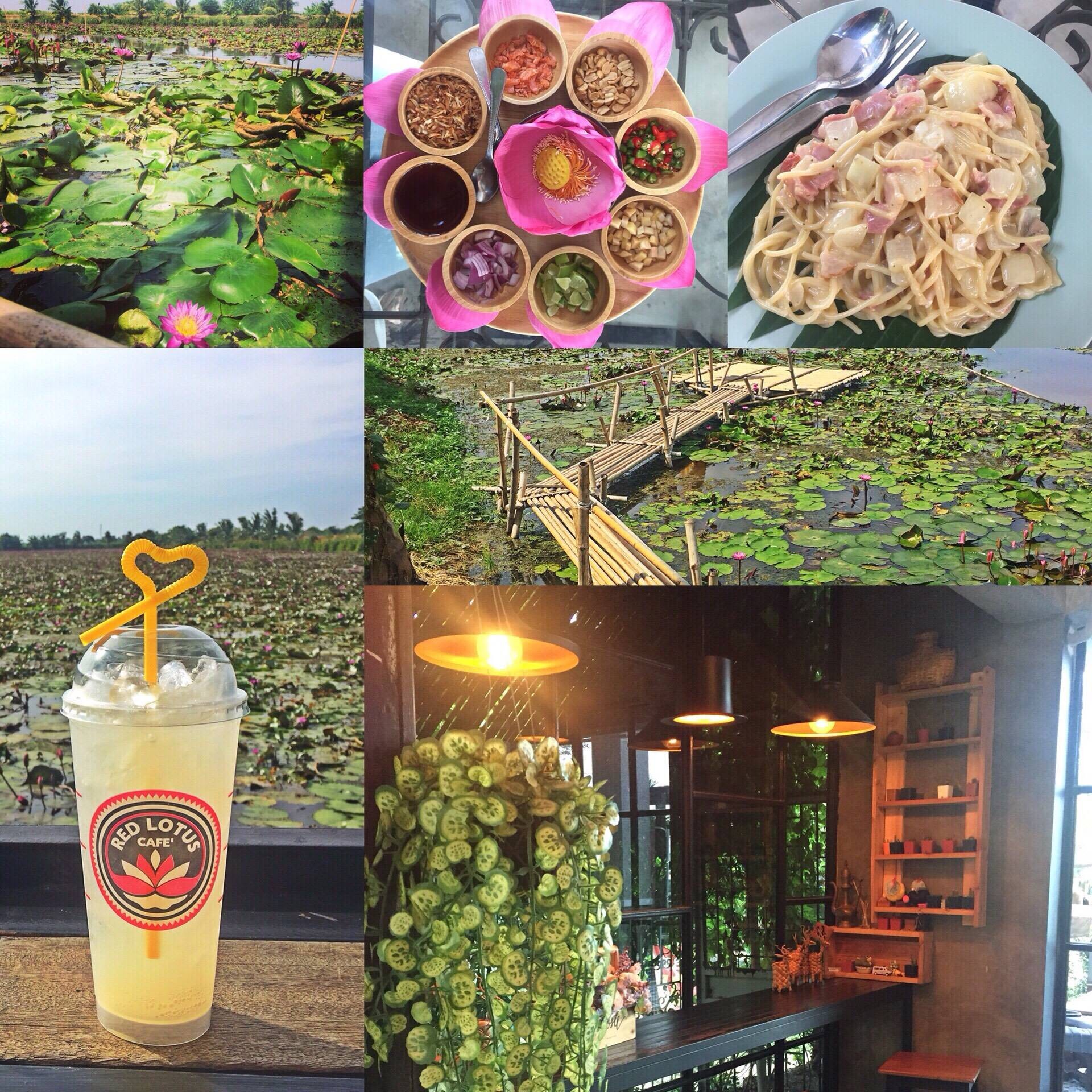 รีวิว Red Lotus Cafe - เมี่ยงบัวแดงอร่อยสุดสุดเจ้าค่ะ 👍🏻👍🏻👍🏻 - Wongnai