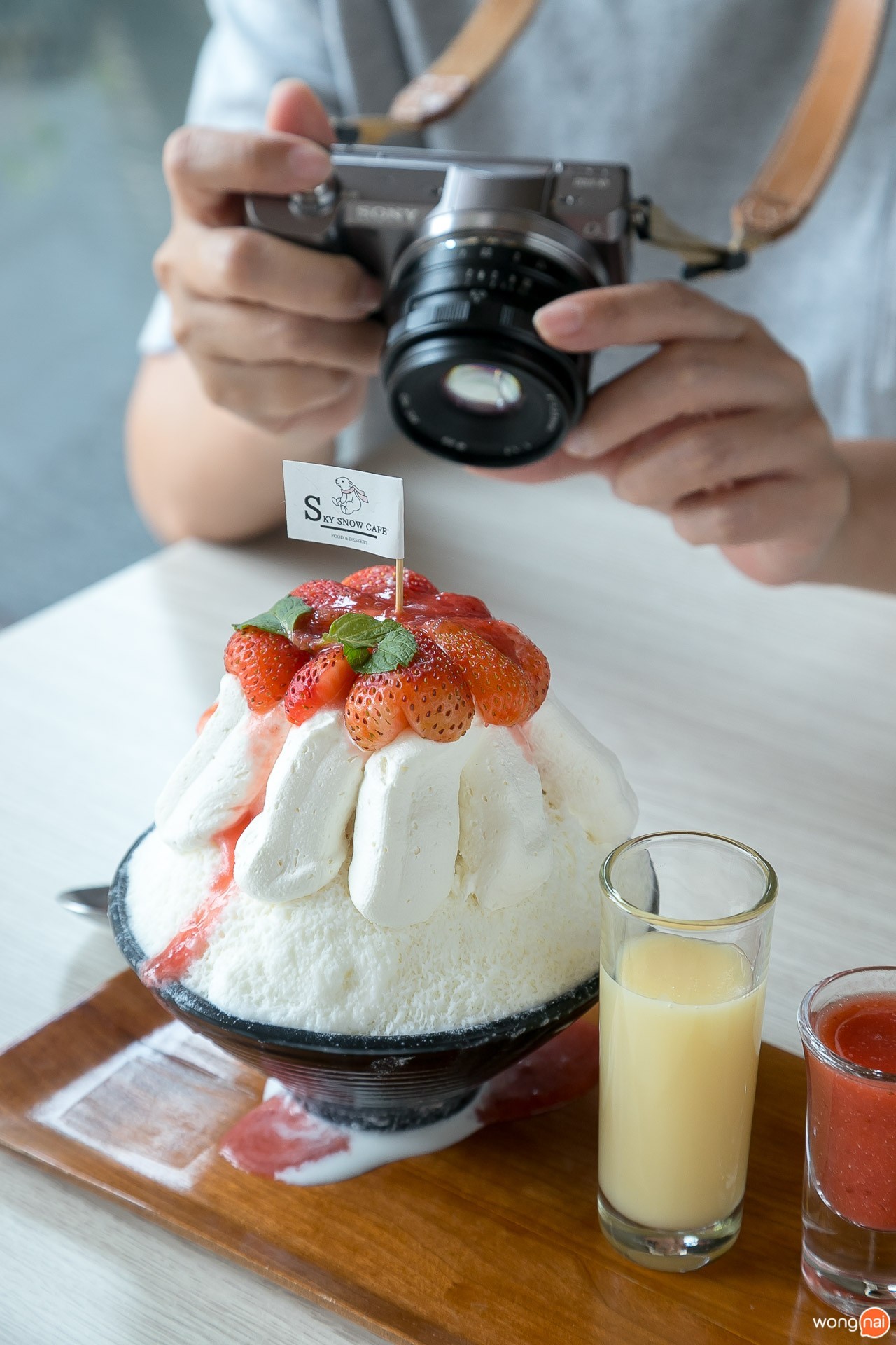 คาเฟ่ บรรยากาศดีอยุธยา Sky Snow Cafe’ คาเฟ่หมีขาวสุดน่ารัก