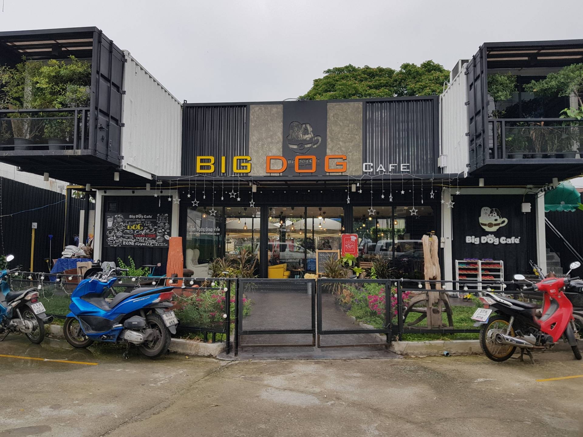 รีวิว Big Dog Cafe Ratchada - คาเฟ่น้องหมา สำหรับคนรักหมา