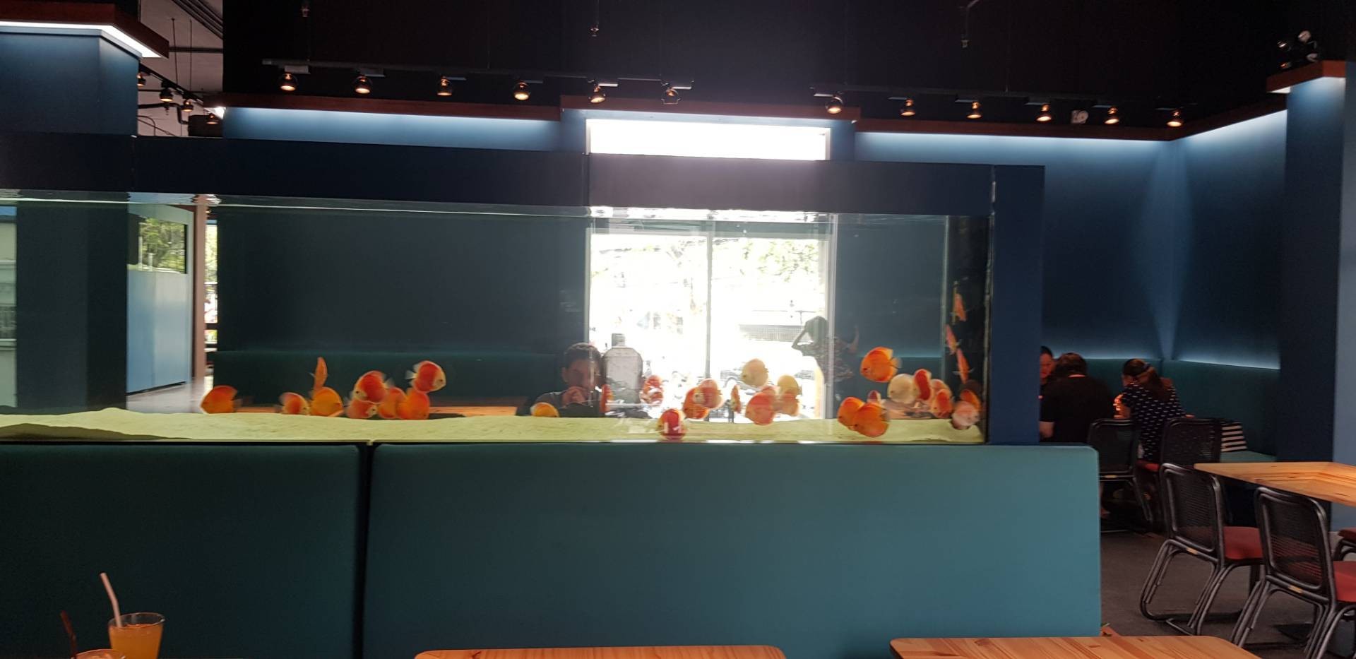 รีวิว TANK Restaurant & Cafe - ร้านญี่ปุ่นสไตล์เก๋ไก๋ - Wongnai