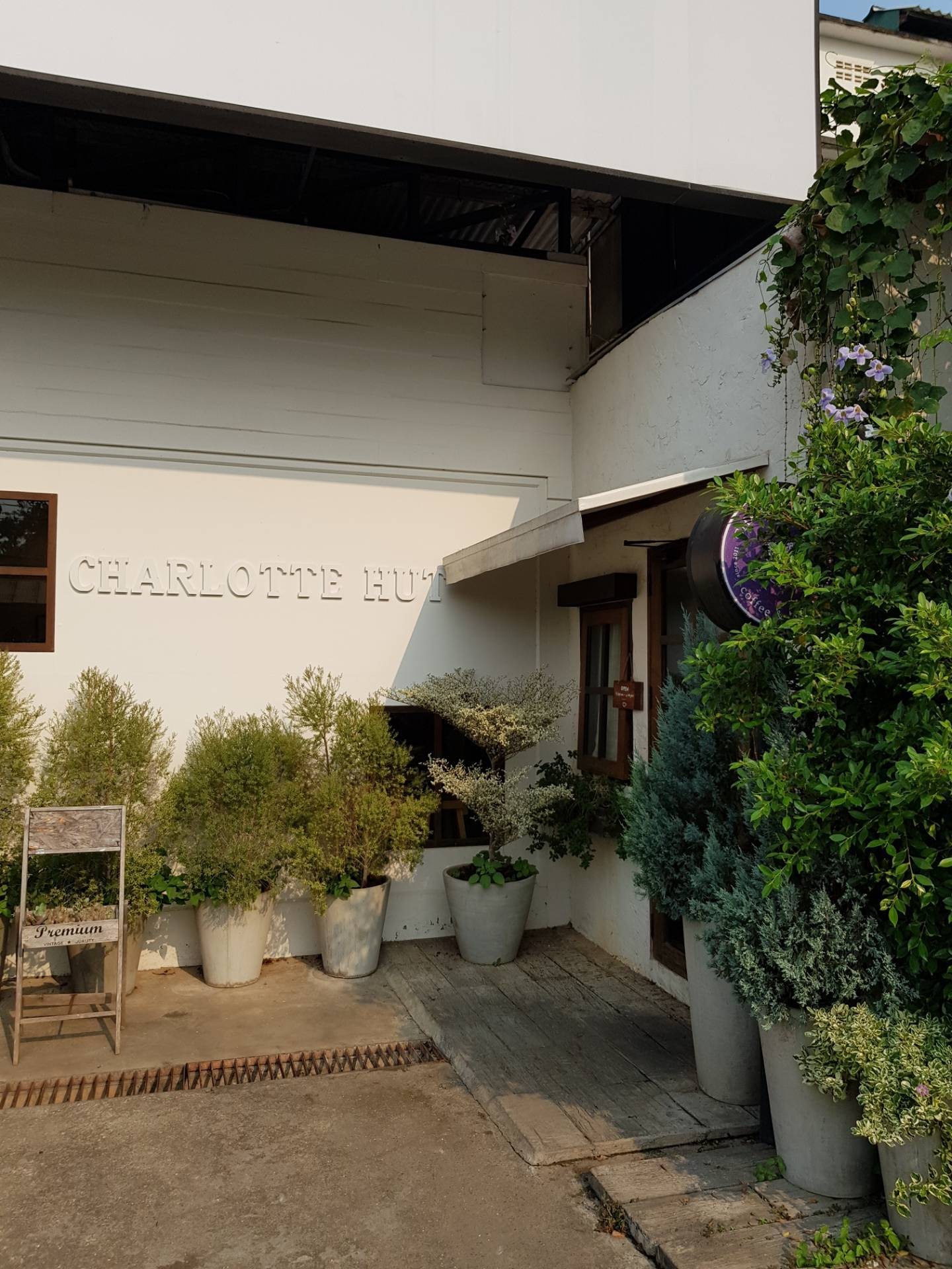 รีวิว Charlotte Hut Coffee & Tea Bar แพร่ - ร้านสวย ต้องมา check in