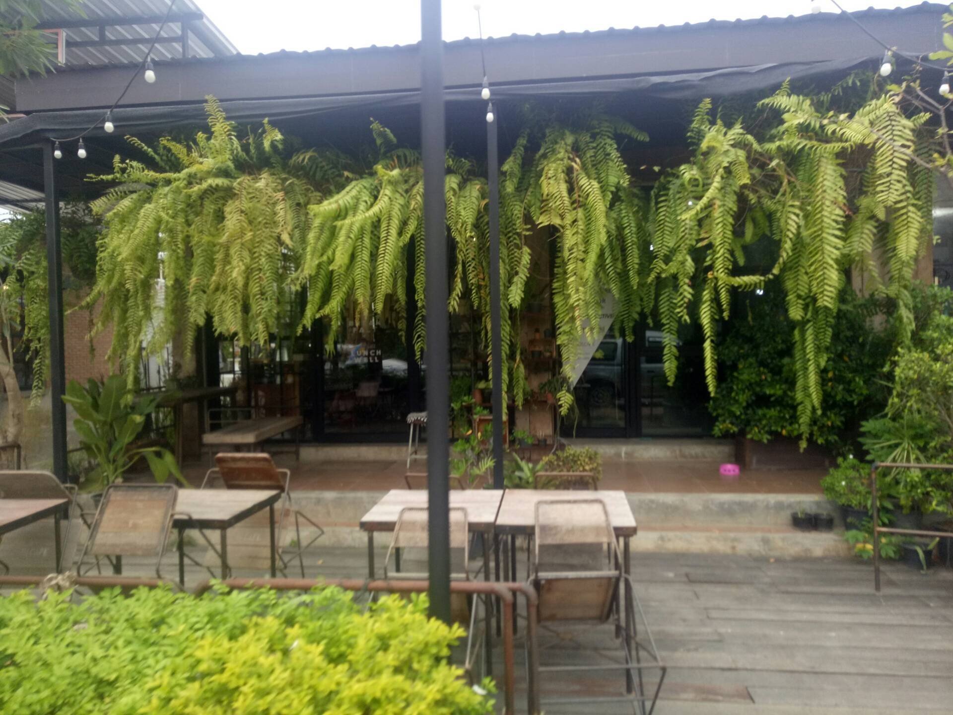 รีวิว Im Cafe' - มาจัดชีสมะม่วงอร่อยดี