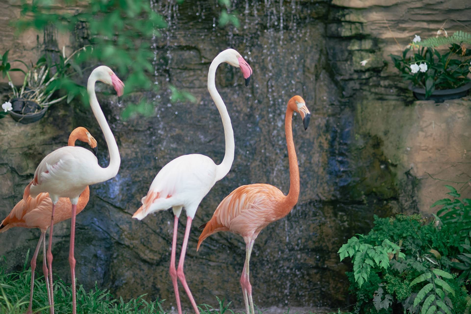 The field animals dream - รีวิวสถานที่ท่องเที่ยว