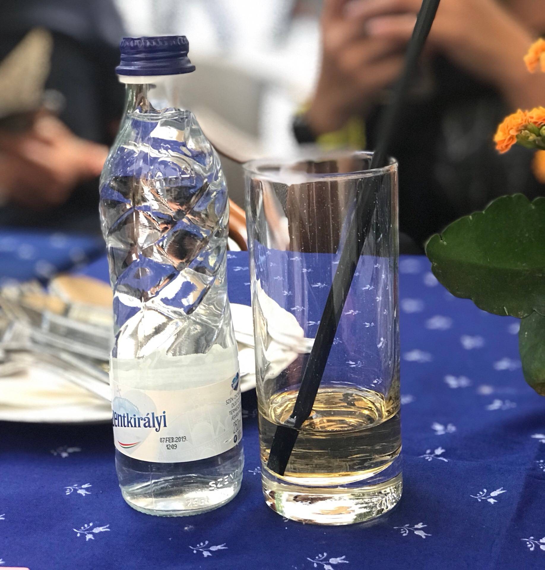 รีวิว First Strudel House of Pest Restaurant - อาหารพอทานได้ ไม่ได้ ...