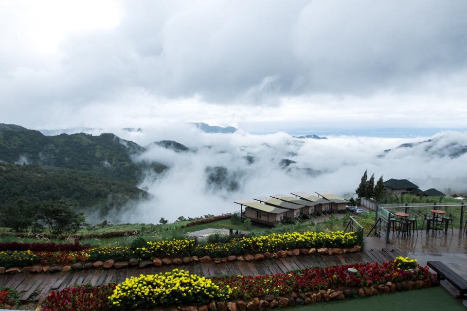 Pino Latte Resort & Cafe - รีวิวที่พัก - Wongnai