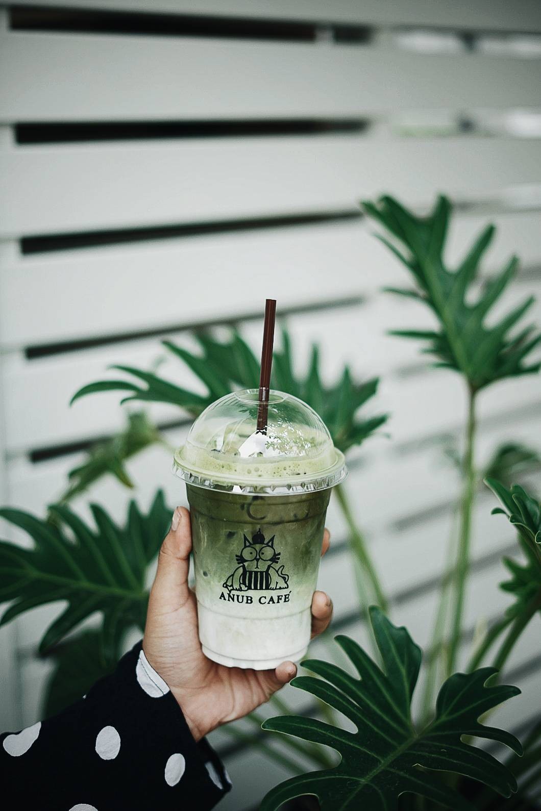 รีวิว Anub Cafe & Restaurant สาขาสุทธิสาร - คาเฟ่เล็กๆ ย่านสุทธิสาร ...