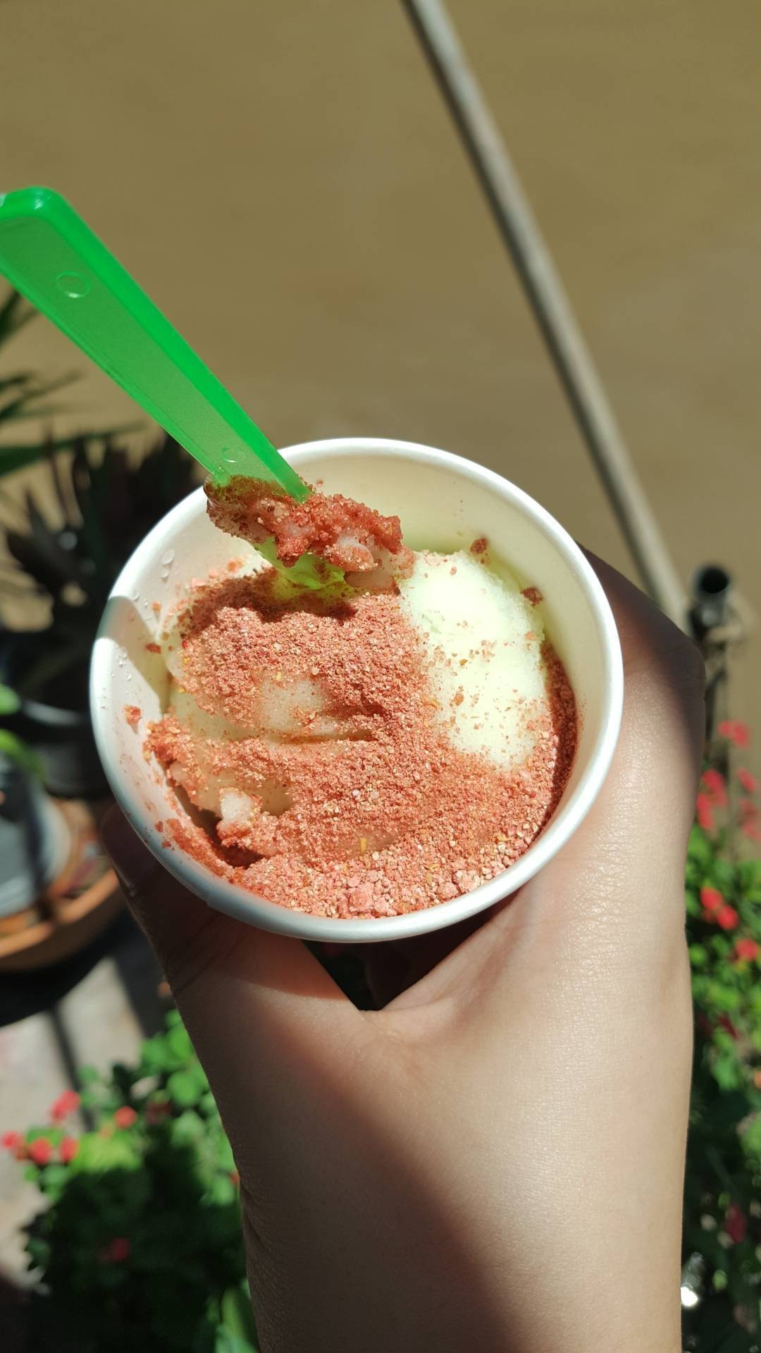 รีวิว SRIMALA ศรีมาลา อัมพวา - ซอร์เบท์ผลไม้ของร้านนี้ดีงามจริงๆ