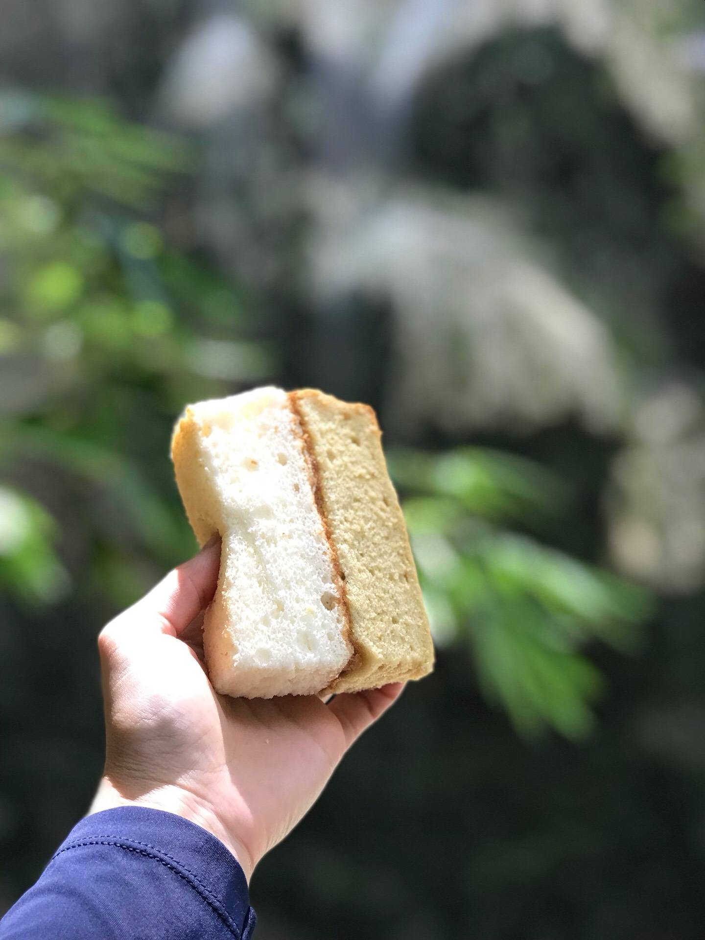 ร้าน Red Ribbon SM City Mall | รีวิวร้านอาหาร - Wongnai