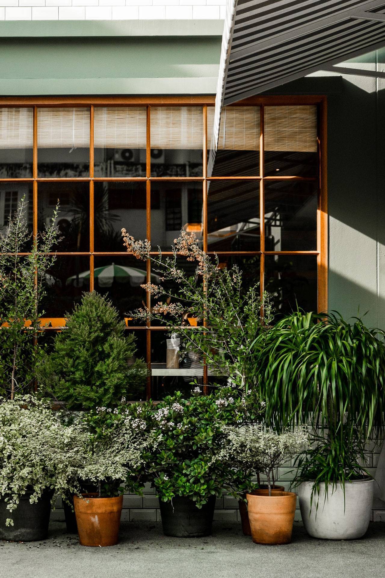 รีวิว Ari recipe - ร้านอาหารญี่ปุ่นโฮมเมด เล็กๆ ที่ซ่อนตัวอยู่หน้า Josh ...