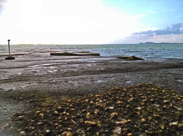 สุสานหอย (Fossil Shell Cemetery Krabi) - รีวิวสถานที่ท่องเที่ยว