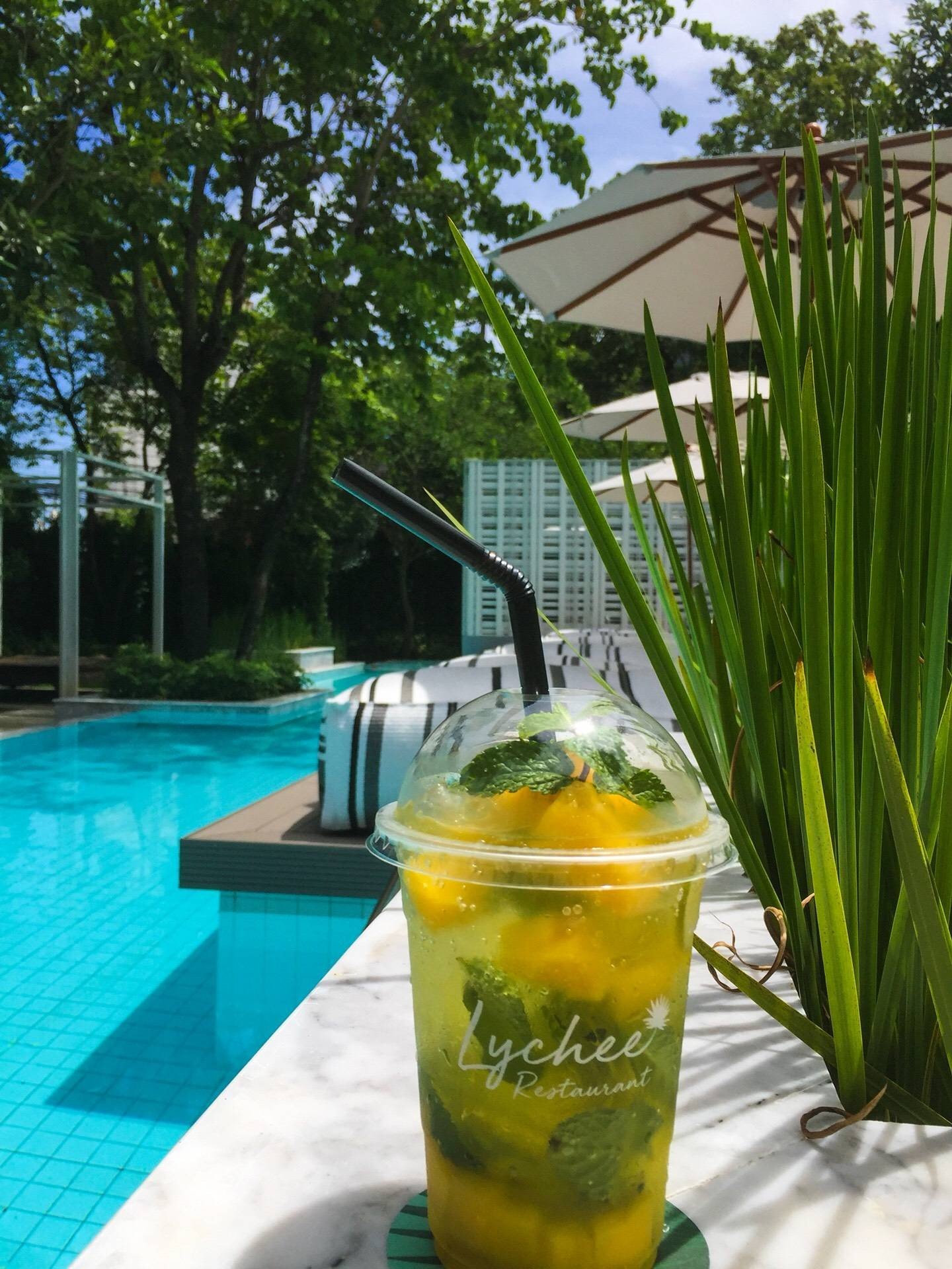 รีวิว Lychee Restaurant - ร้านอาหารที่Summerนี้คุณไม่ควรพลาด🔥