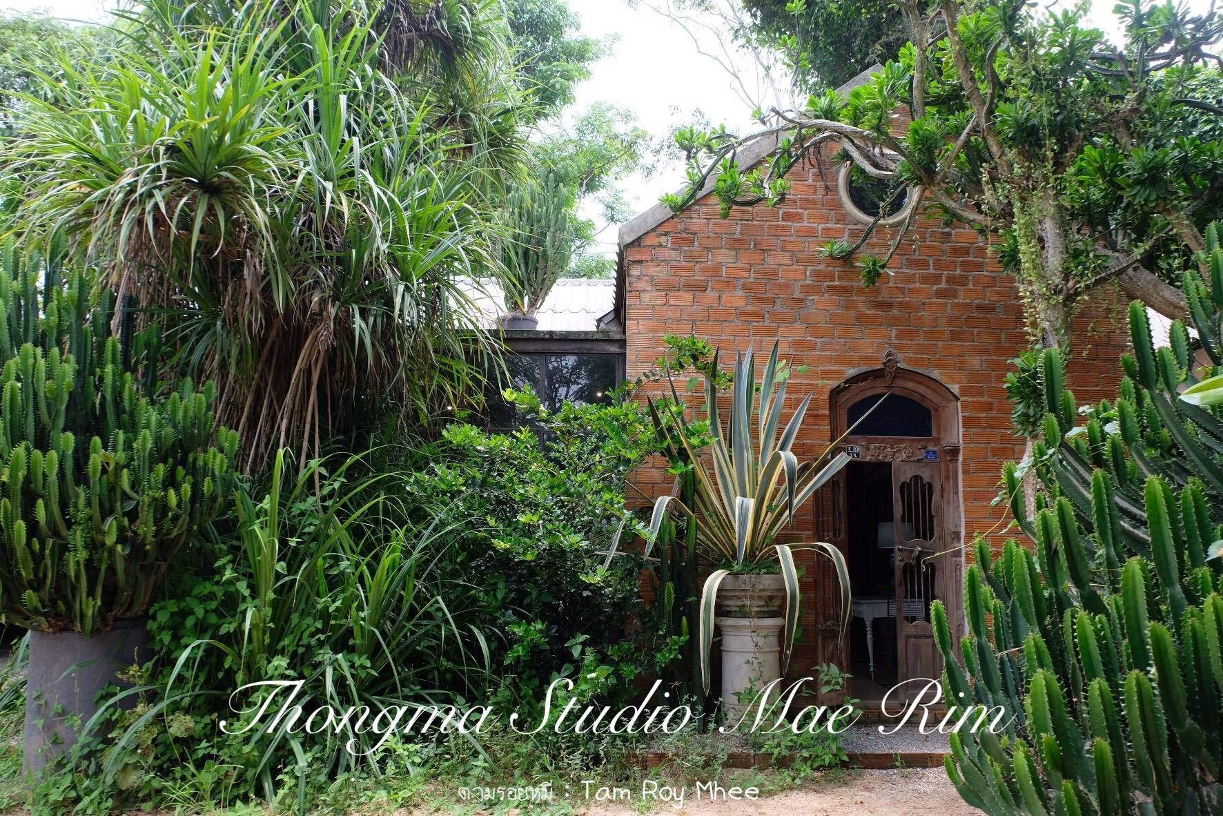 รีวิว Thongma Studio Mae Rim Chiangmai MaeRim - กาแฟดี ชาเขียวดี - Wongnai