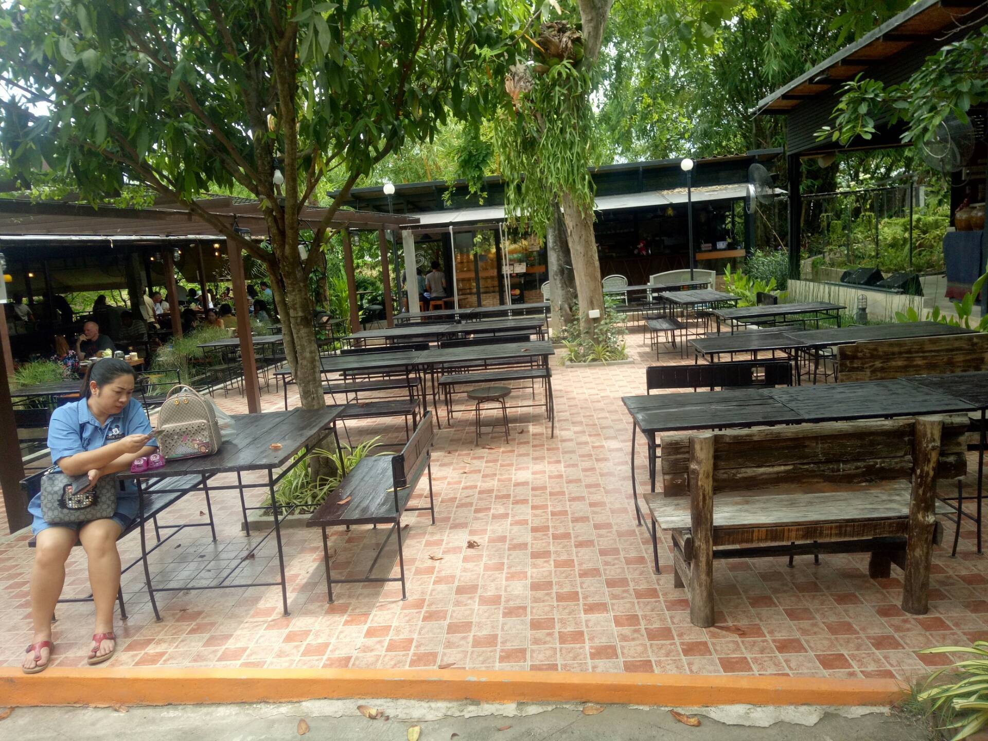 รีวิว ส้มตำฮัลโหลโซลาว Hello Solao - ส้มตำวันหยุด - Wongnai