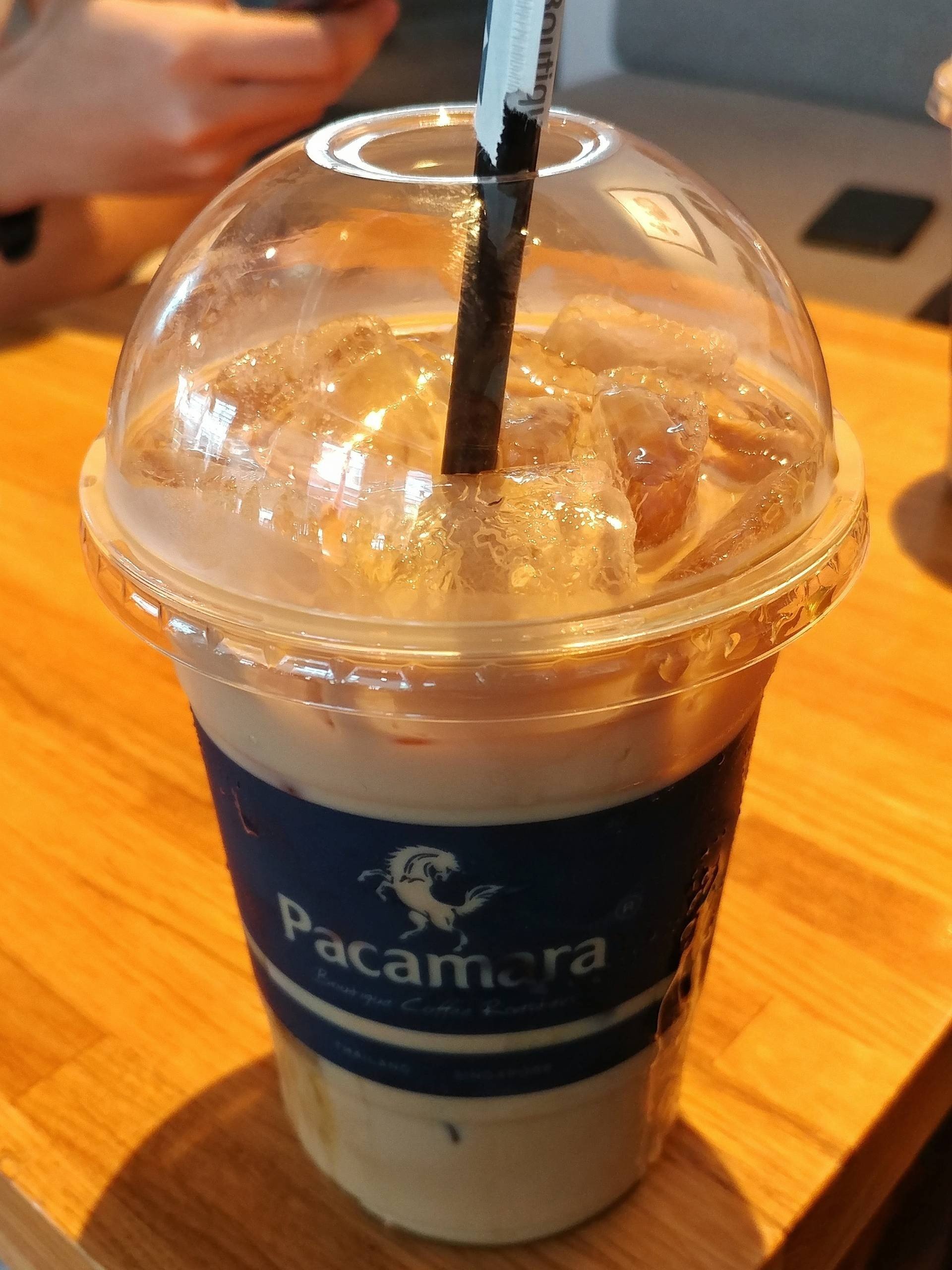 รีวิว PACAMARA โรงพยาบาลจุฬาฯ สภากาชาดไทย (KCMH) - ร้านกาแฟในคณะแพทย์ ...