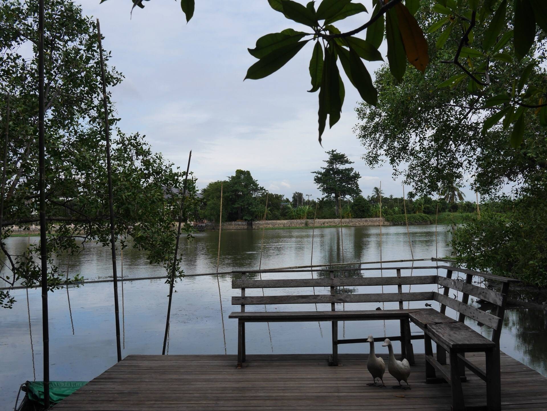 รูป Little Tree Garden บ้านใหม่