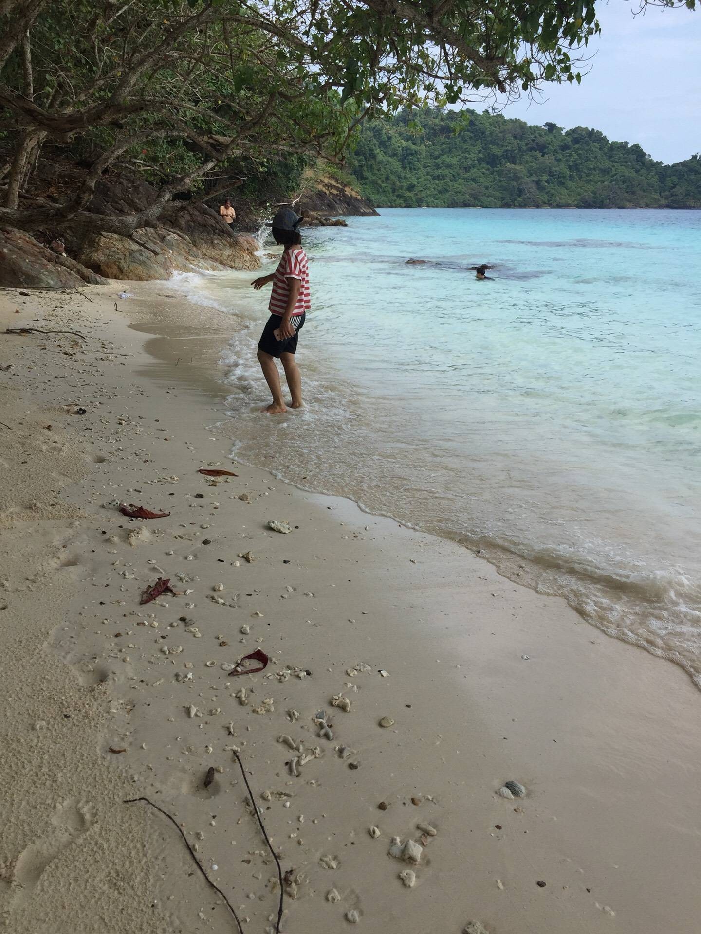 รูป เกาะมะปริง