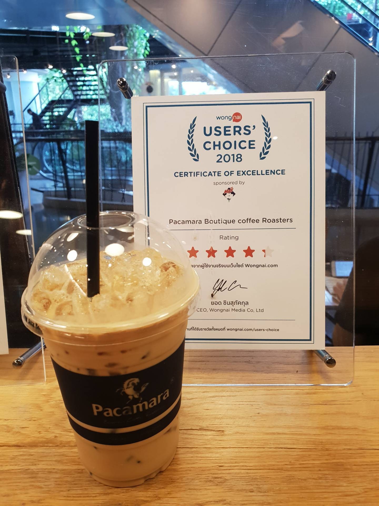 รีวิว PACAMARA Rain Hill - กาแฟหอม รสชาติดี