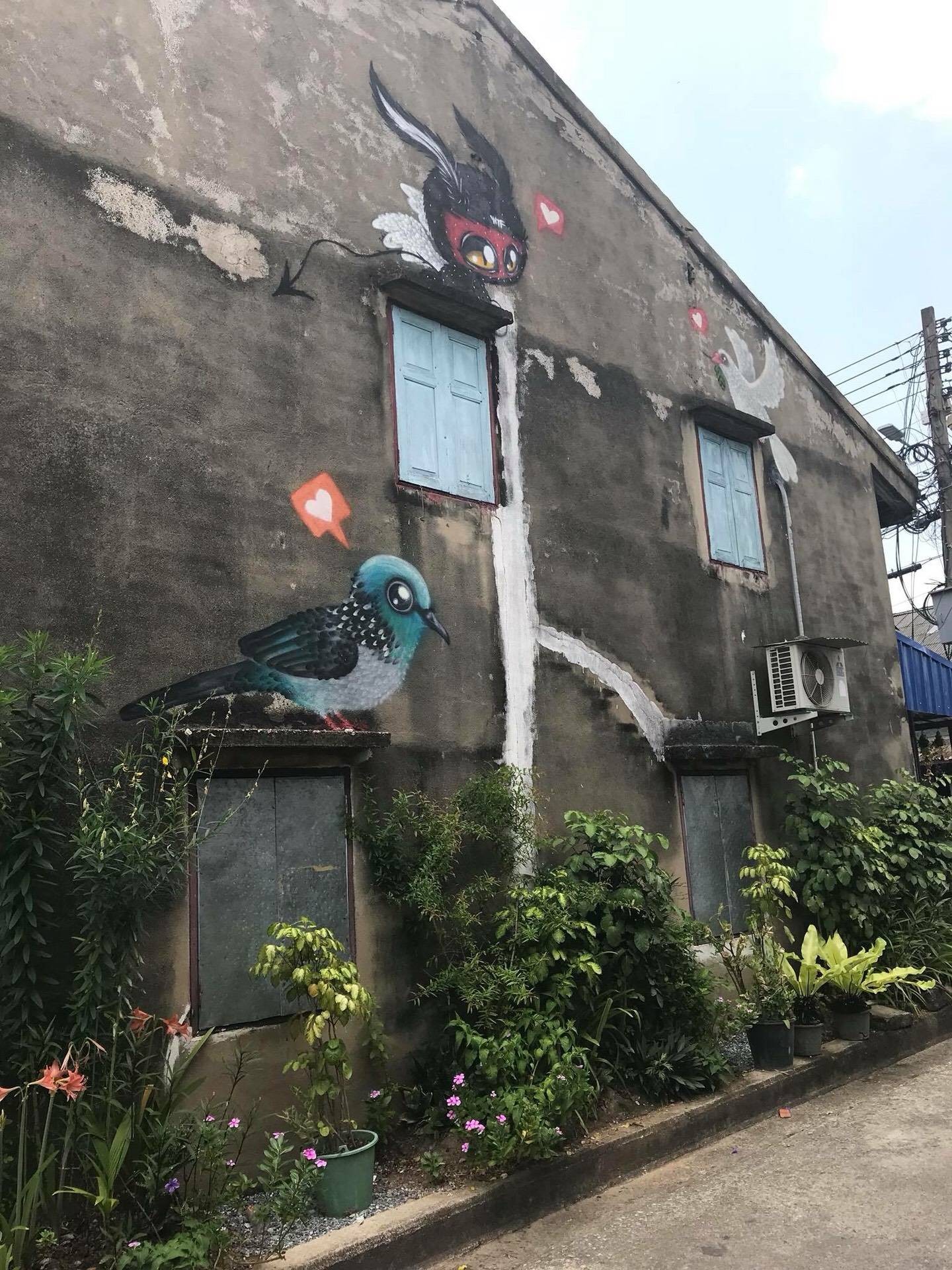 รูป Yala bird city street art