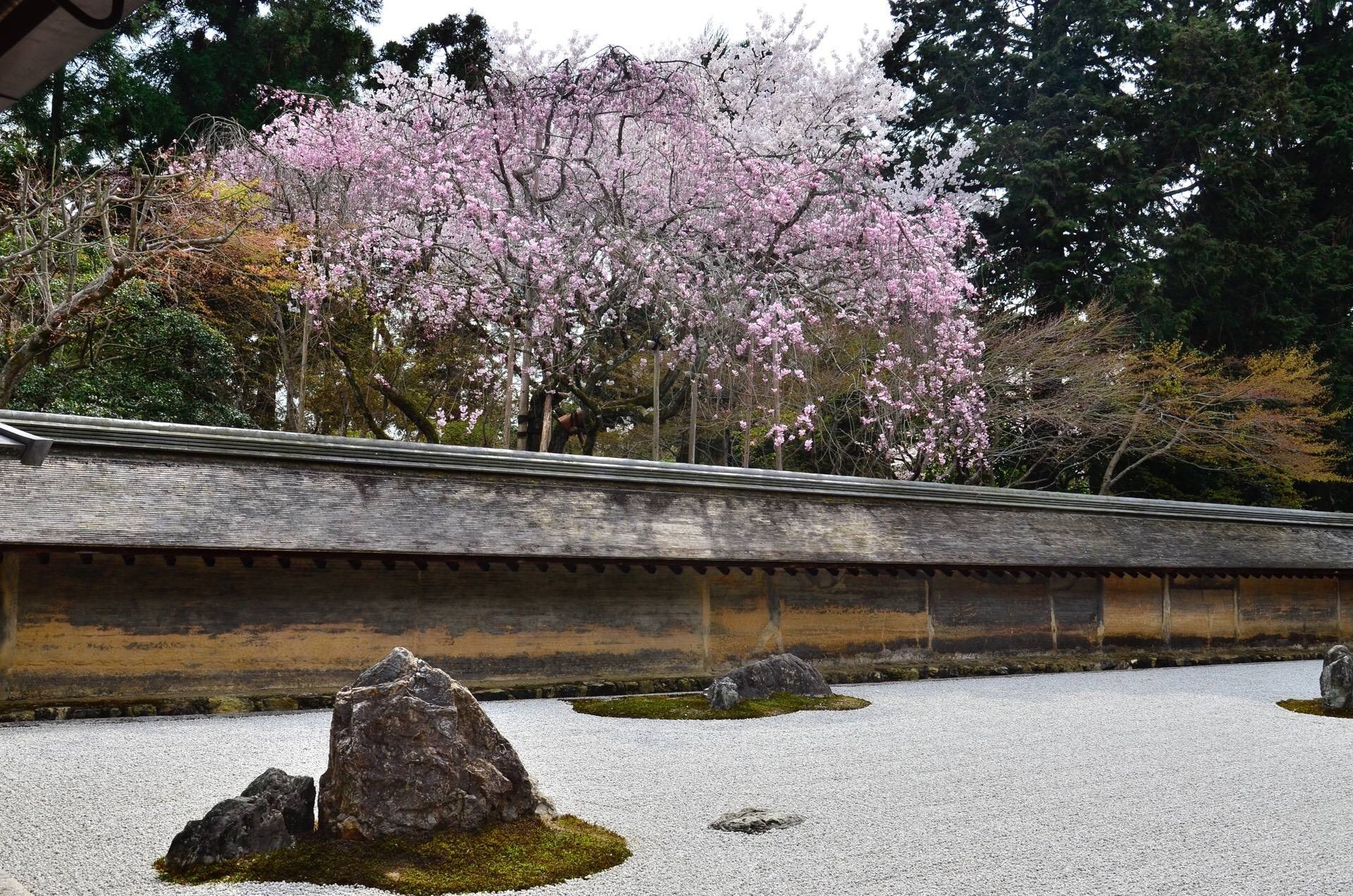 Ryoanji Temple - รีวิวสถานที่ท่องเที่ยว