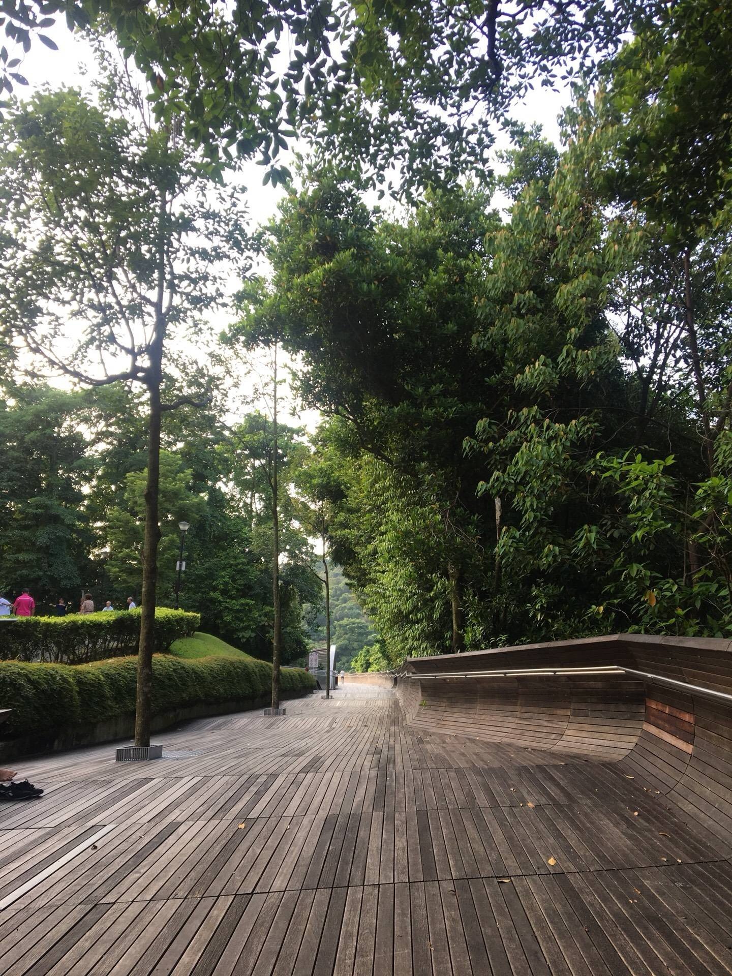 The southern ridges - รีวิวสถานที่ท่องเที่ยว - Wongnai