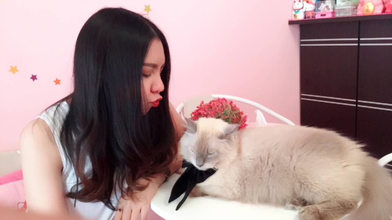 รีวิว Neko Cat Cafe Phuket - ชอบมากกกกก!!