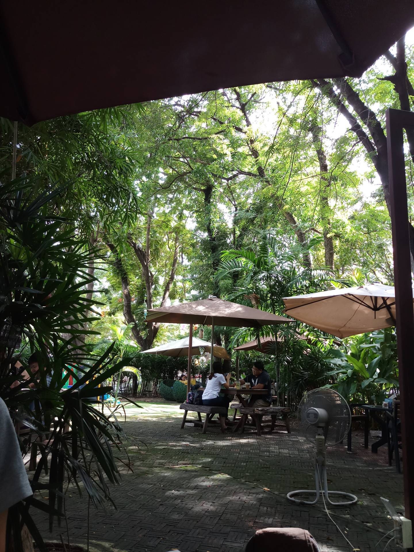 Cafe de' Forest สำนักงานป่าไม้ - สั่งอาหารเดลิเวอรี | Wongnai x LINE MAN