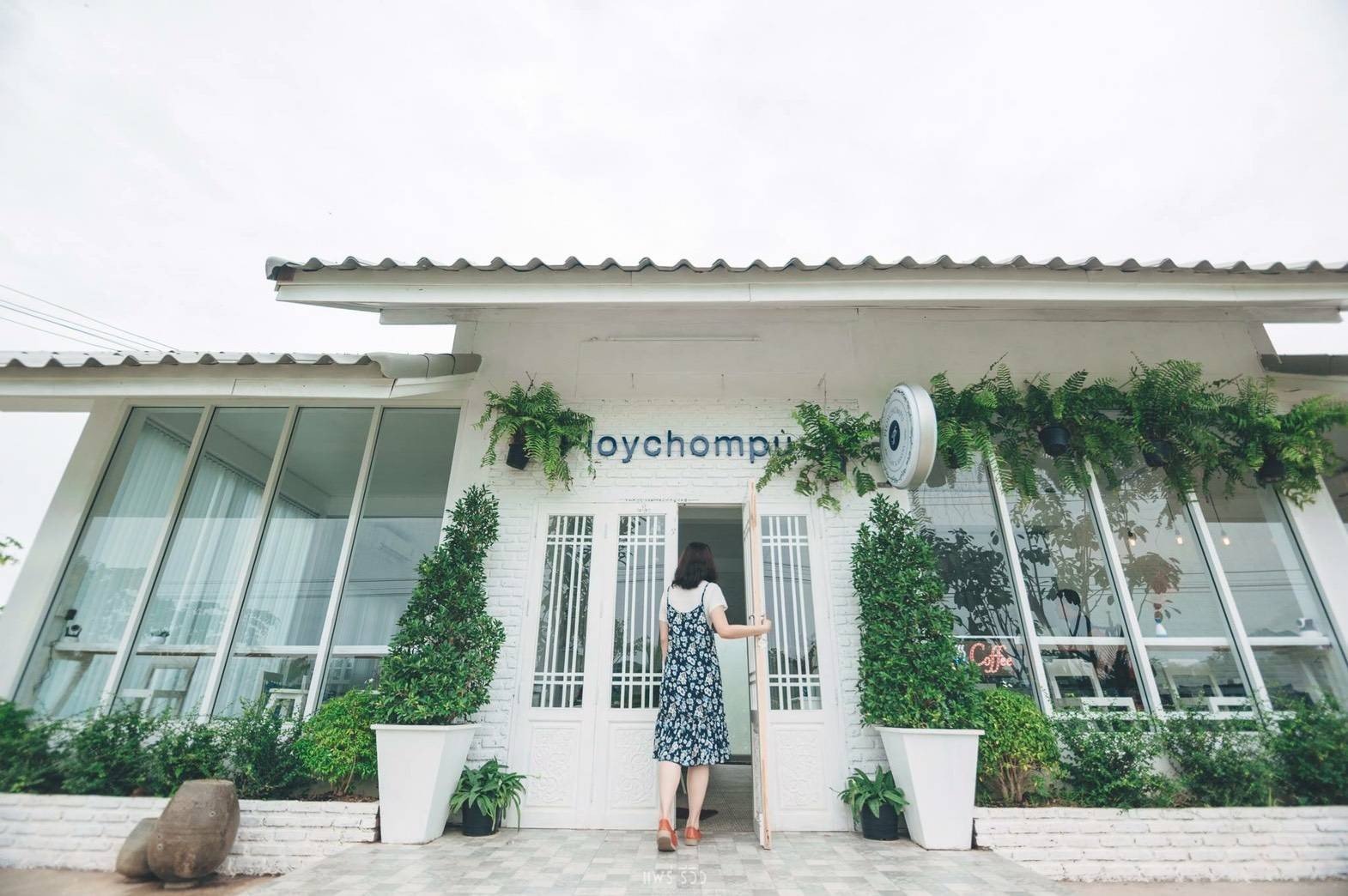 รีวิว Ploychompu Cafe - แม่ค้าสวยโกโก้ลำขนาด - Wongnai