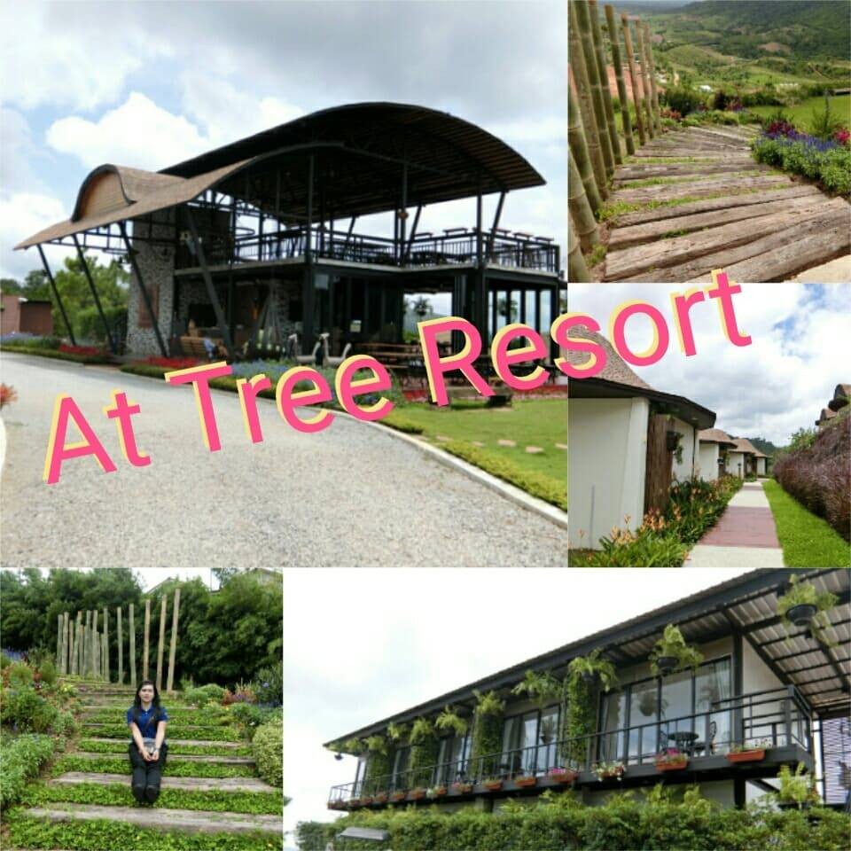 รีวิว At Tree Resort & Restaurant - รีสอร์ทหรู อาหารเลิศ บรรยากาศชิล วิวสวย