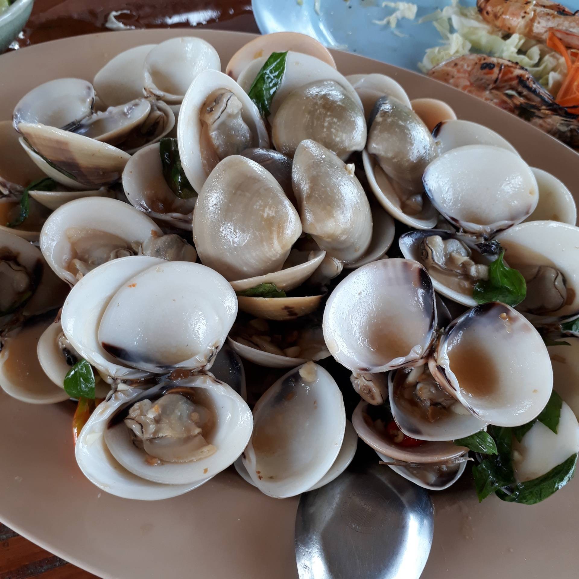 หอยตลับผัดฉ่า ร้าน ครัวกำนัน - Wongnai