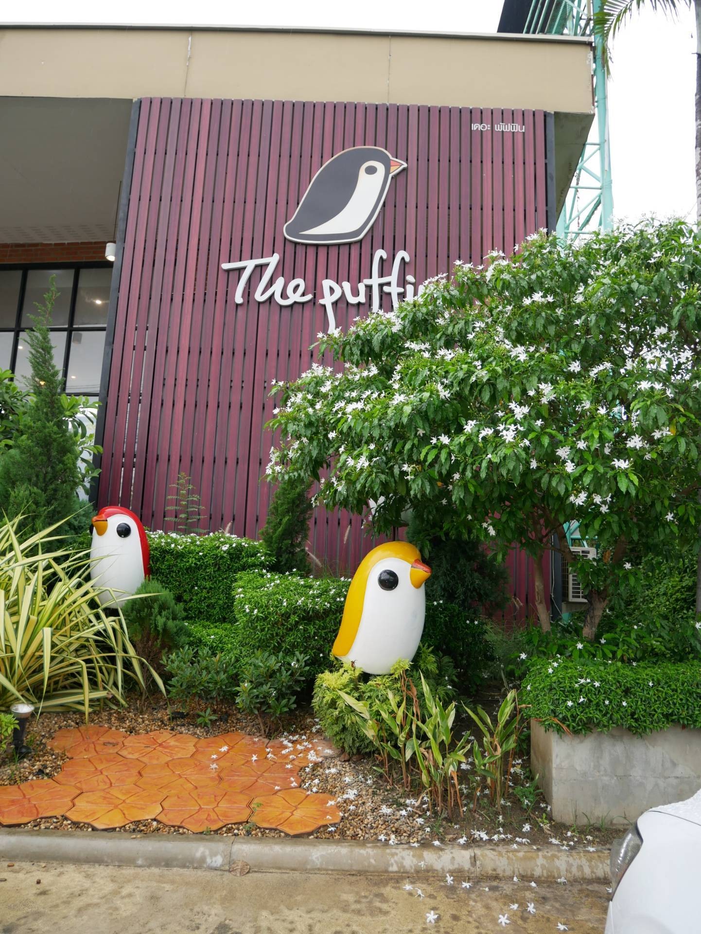 รีวิว the puffin cafe - ร้านนั่งชิวๆยามฝนตก ขนมอร่อย