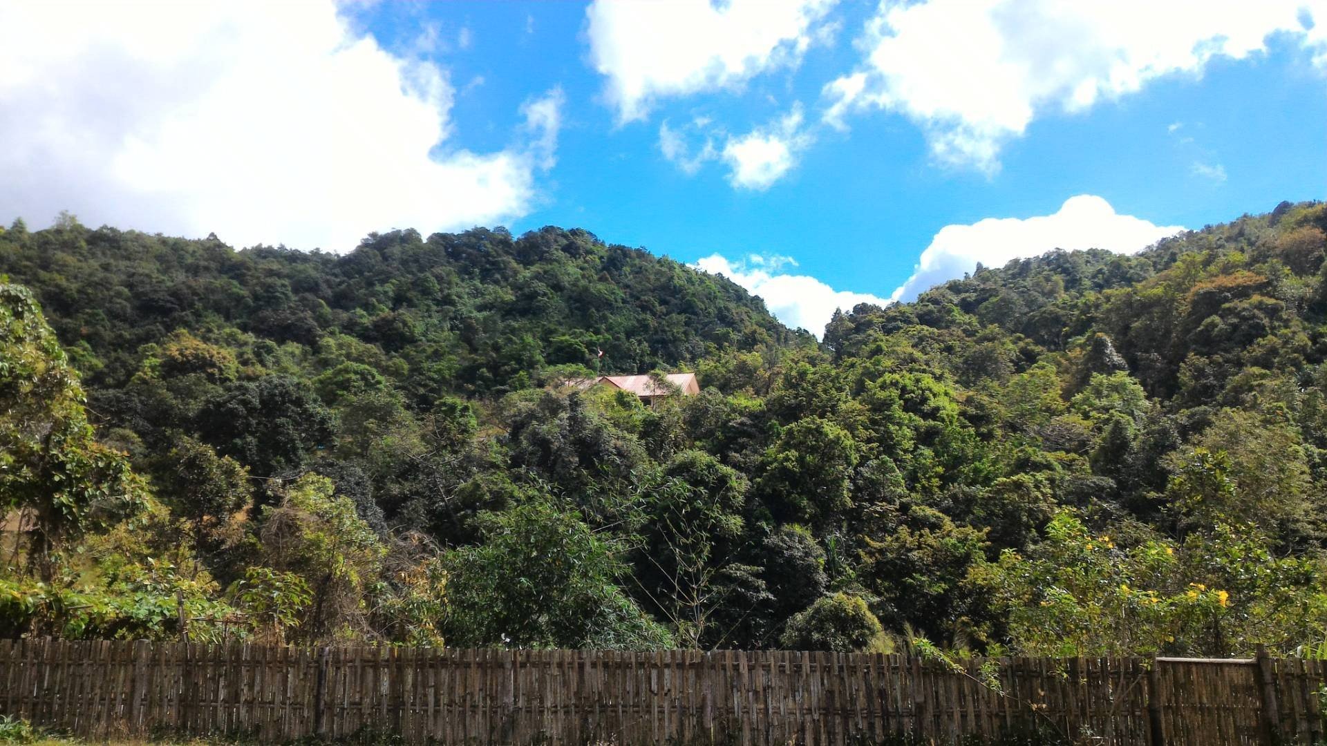 ปิล็อก ฮิลเฮาส์ (pilok hillhouse) - รีวิวที่พัก