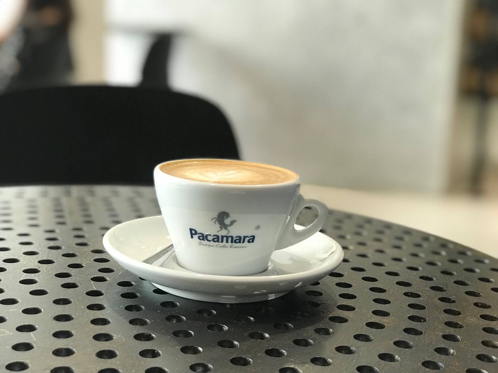 Pacamara Coffee Siam MBK A La Art - สั่งอาหารเดลิเวอรี | Wongnai x LINE MAN