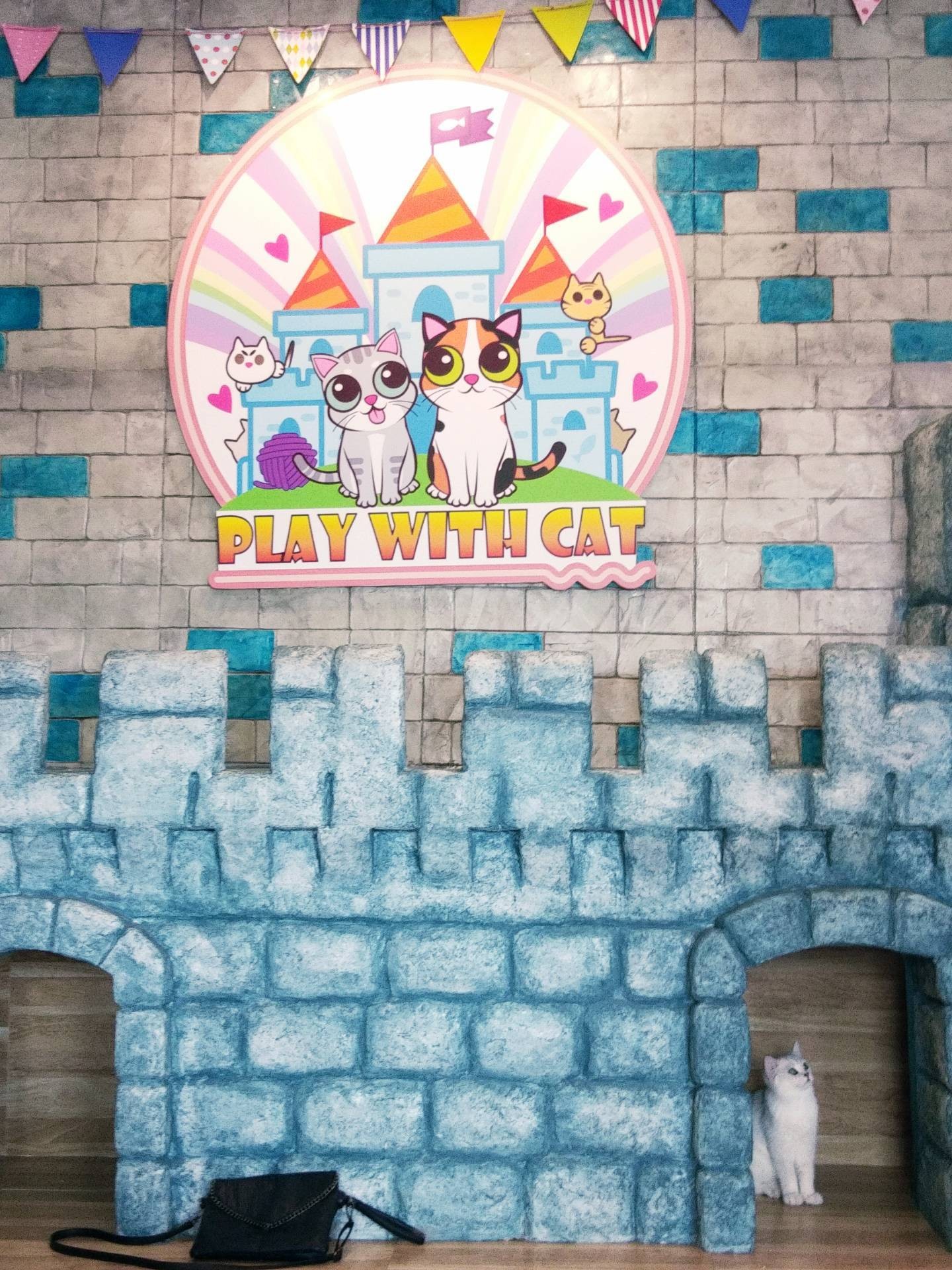 รีวิว Chill cat cafe - กาแฟสด เพชรเกษม110 - ร้านแมวๆร้านจะมายากสักนิด ...