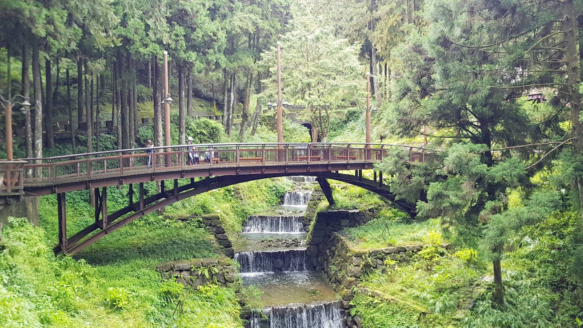 Zhaoping Park - รีวิวสถานที่ท่องเที่ยว